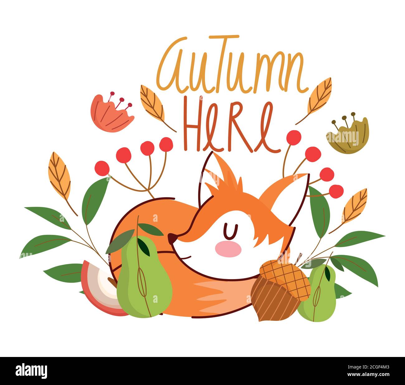 hello autumn, sleeping fox acorn flowers leaves foliage banner vector ...