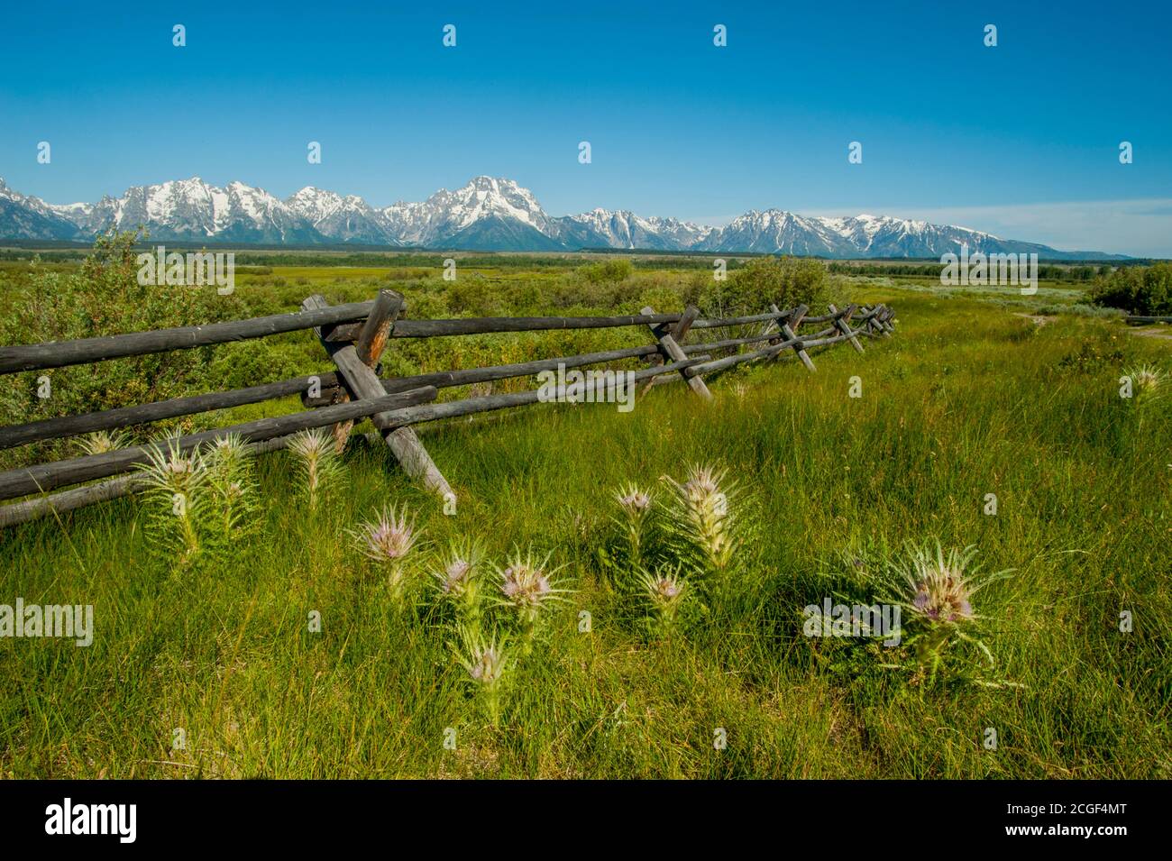 Buck and rail fence hi-res stock photography and images - Alamy