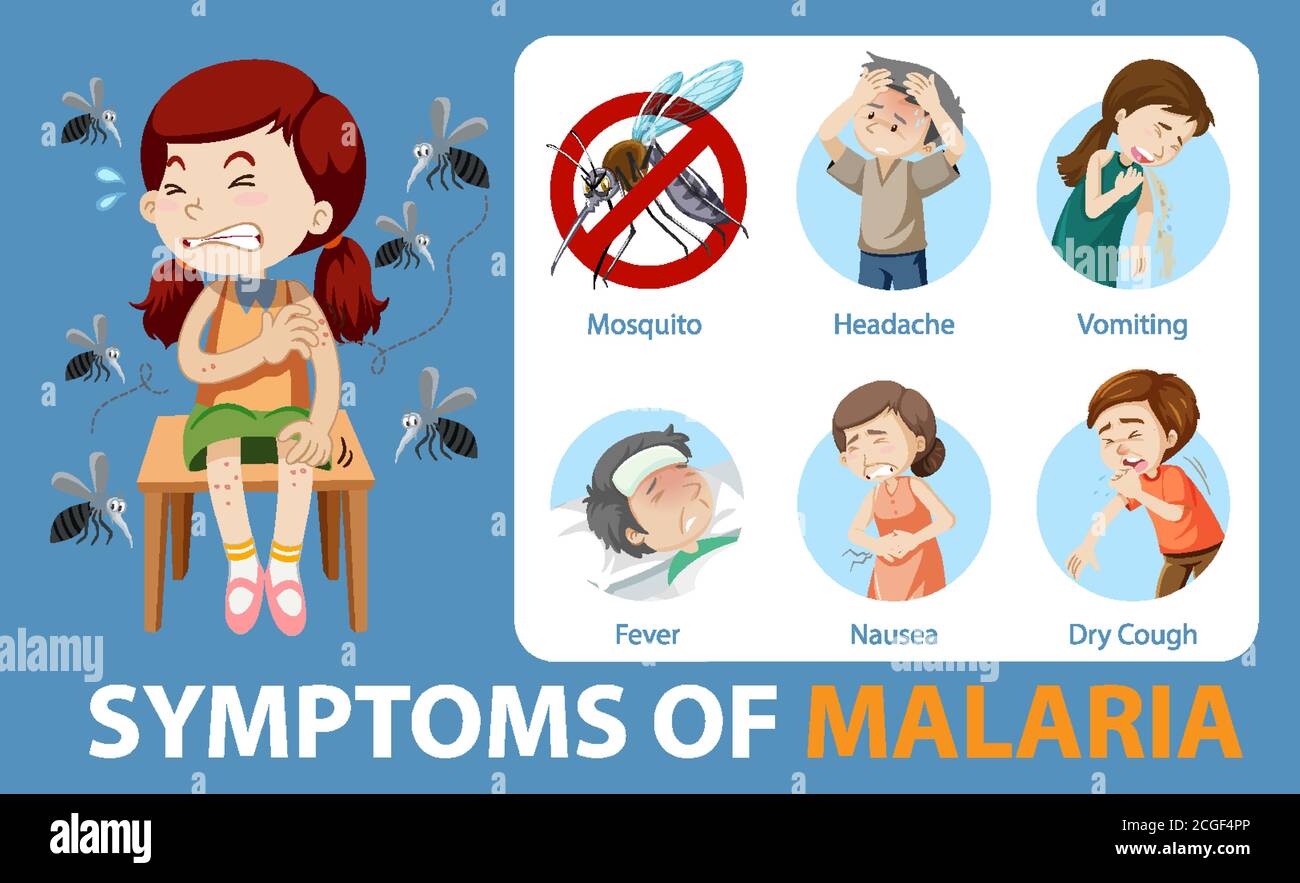 Symptoms of malaria cartoon style infographic illustration Stock Vector ...