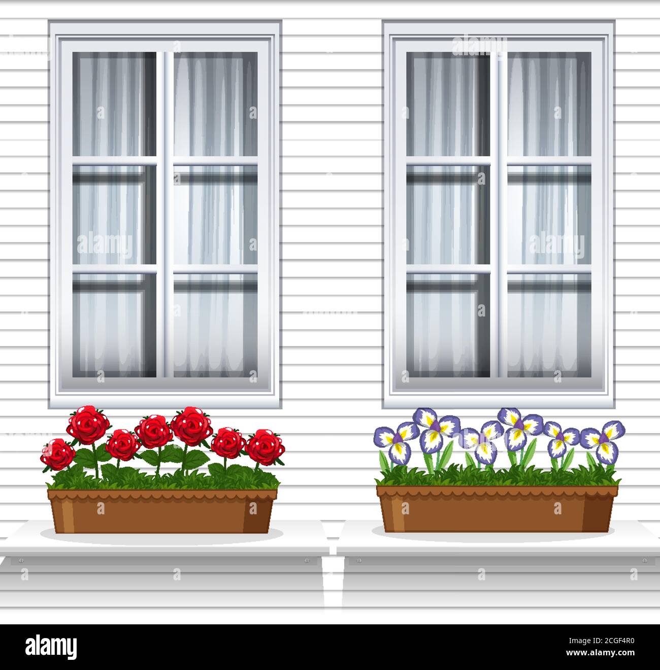 Flower plants near window illustration Stock Vector Image & Art - Alamy