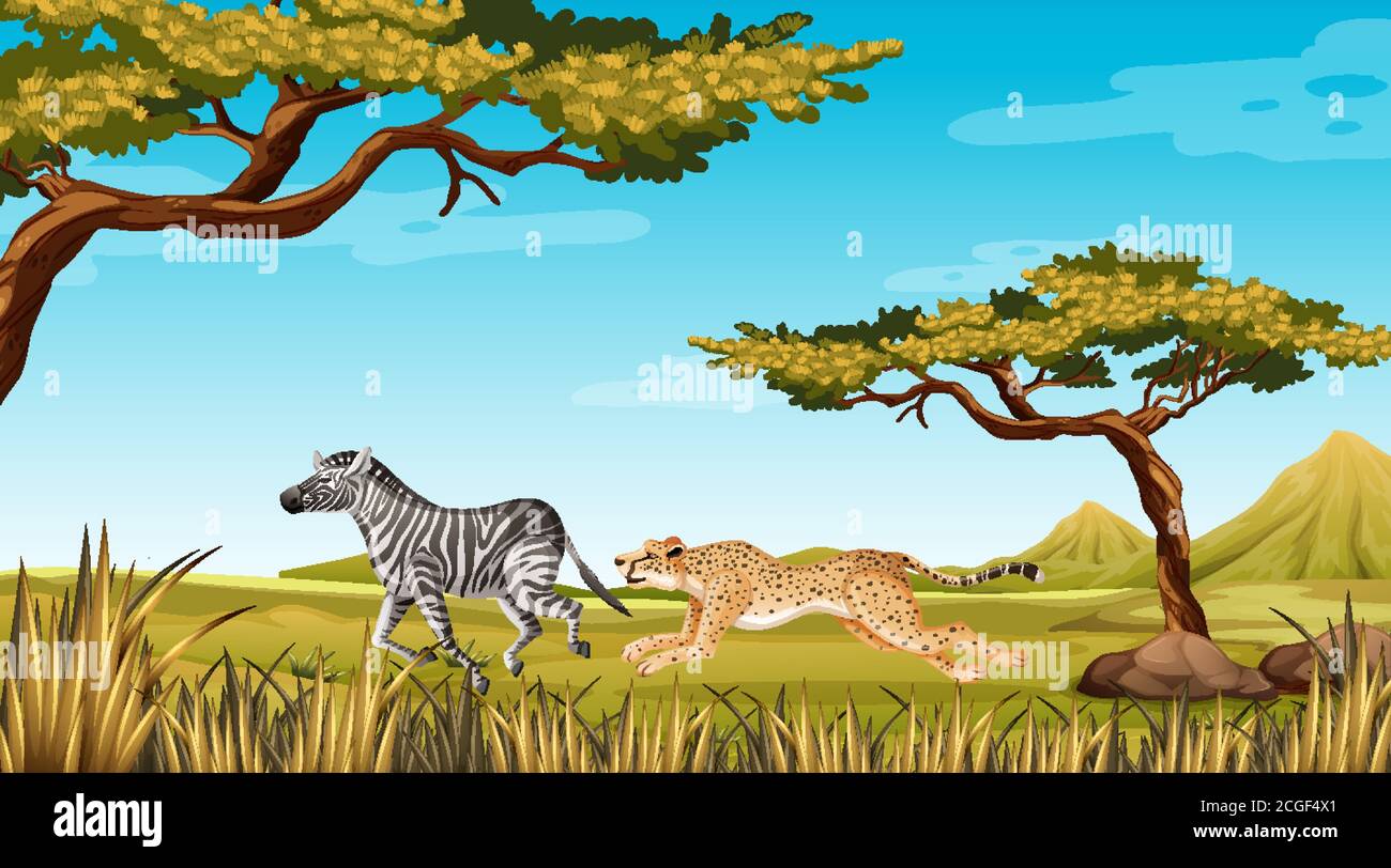 Wild animal running in nature illustration Stock Vector Image & Art - Alamy