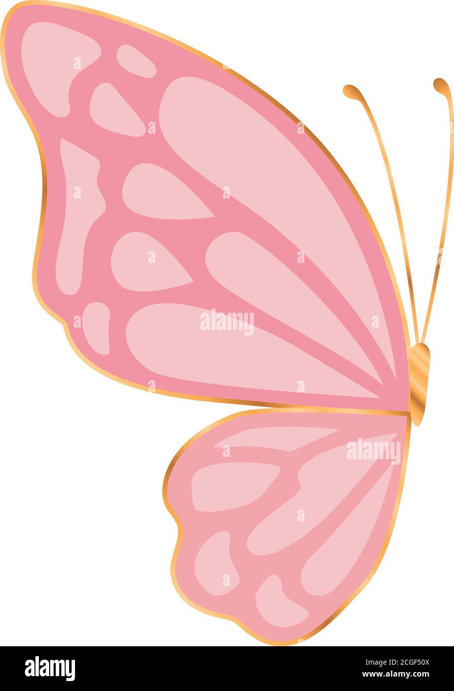 half pink butterfly vector design Stock Vector Image & Art - Alamy
