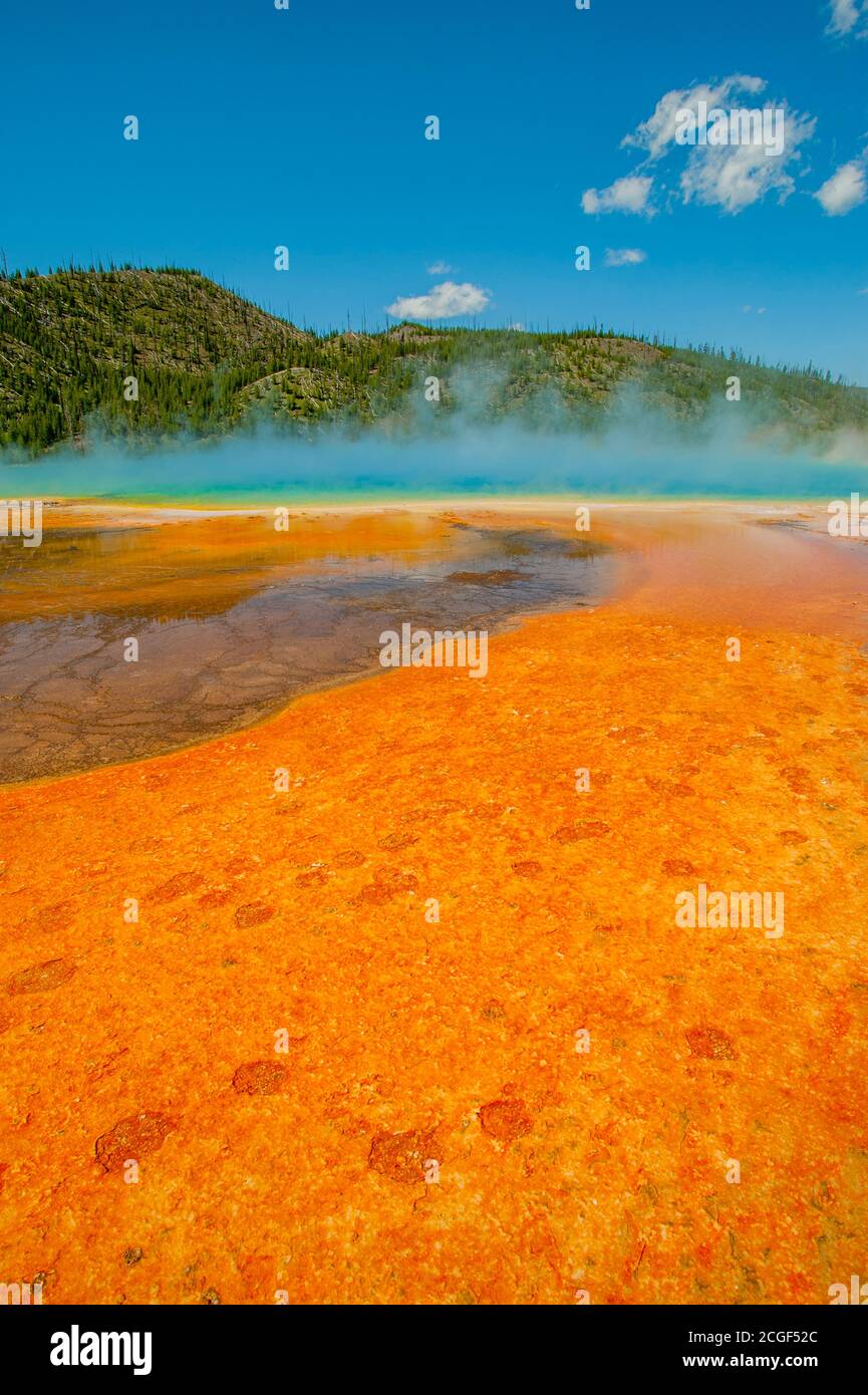 The colorful Grand Prismatic Spring at the Misway Geyser Basin in ...