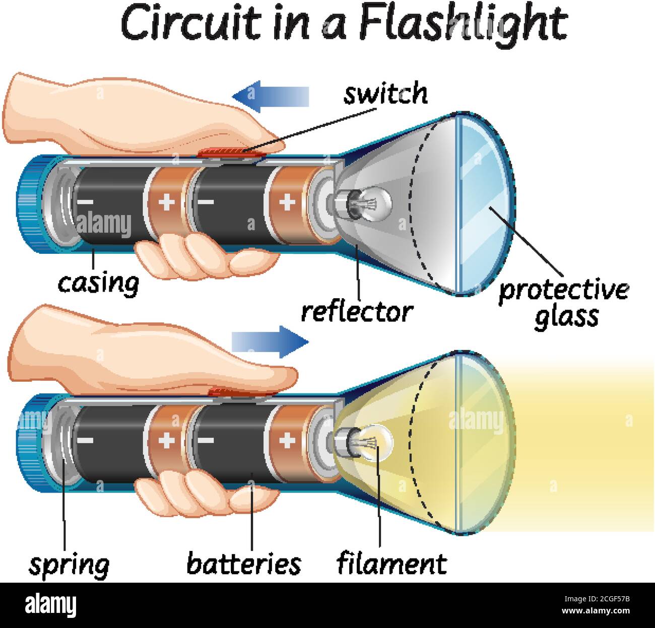 Circuit in a flashlight illustration Stock Vector Image & Art - Alamy