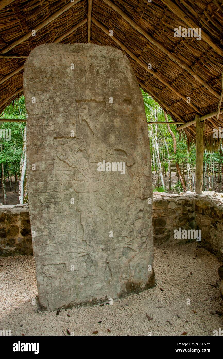 A Mayan stelae (singular stela) at the Grupo Macanxoc in Coba on the ...