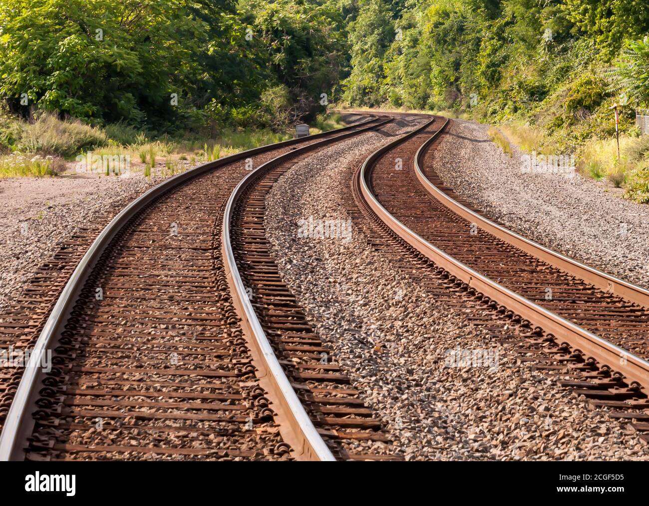 Two sets of train tracks running through a wooded area in Pittsburgh ...