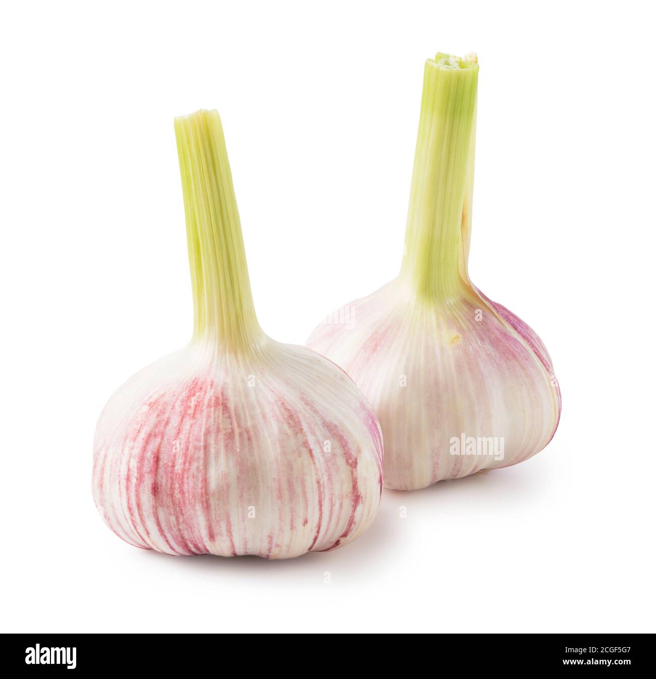 Two fresh garlic pieces placed on a white background Stock Photo - Alamy