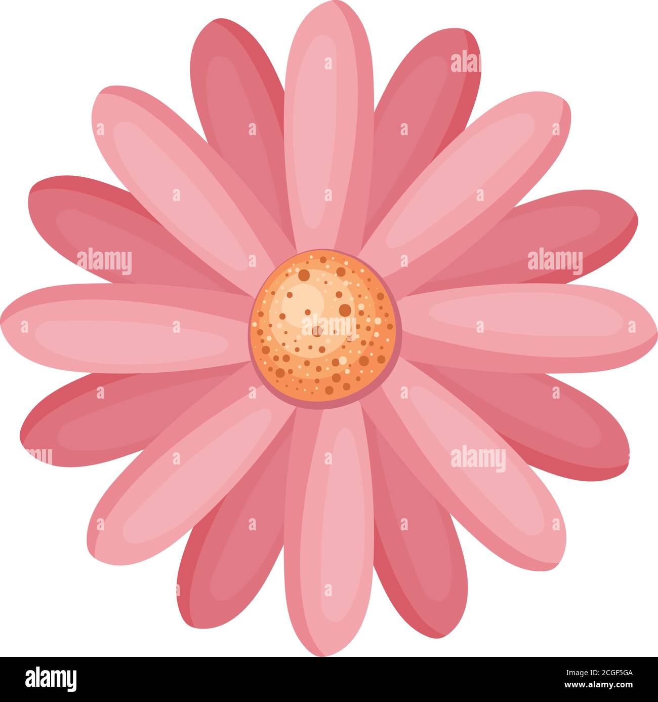 Isolated pink flower vector design Stock Vector Image & Art - Alamy