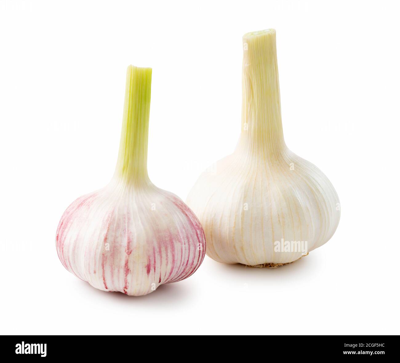 Two fresh garlic pieces placed on a white background Stock Photo - Alamy