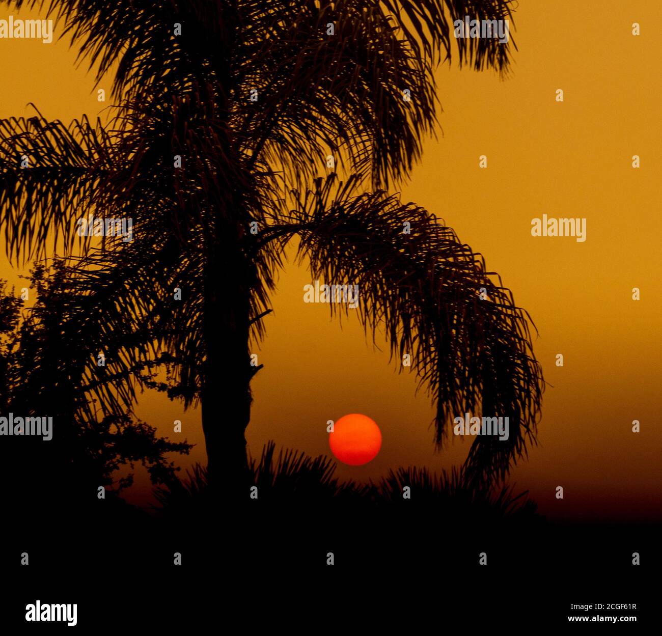 The sun is visible through thick smoke generated by the Valley Fire in ...