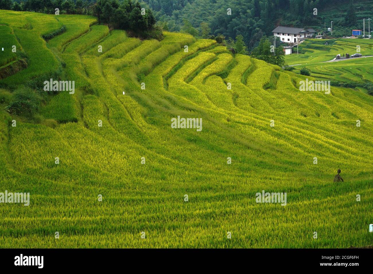 Shangbao hi-res stock photography and images - Alamy