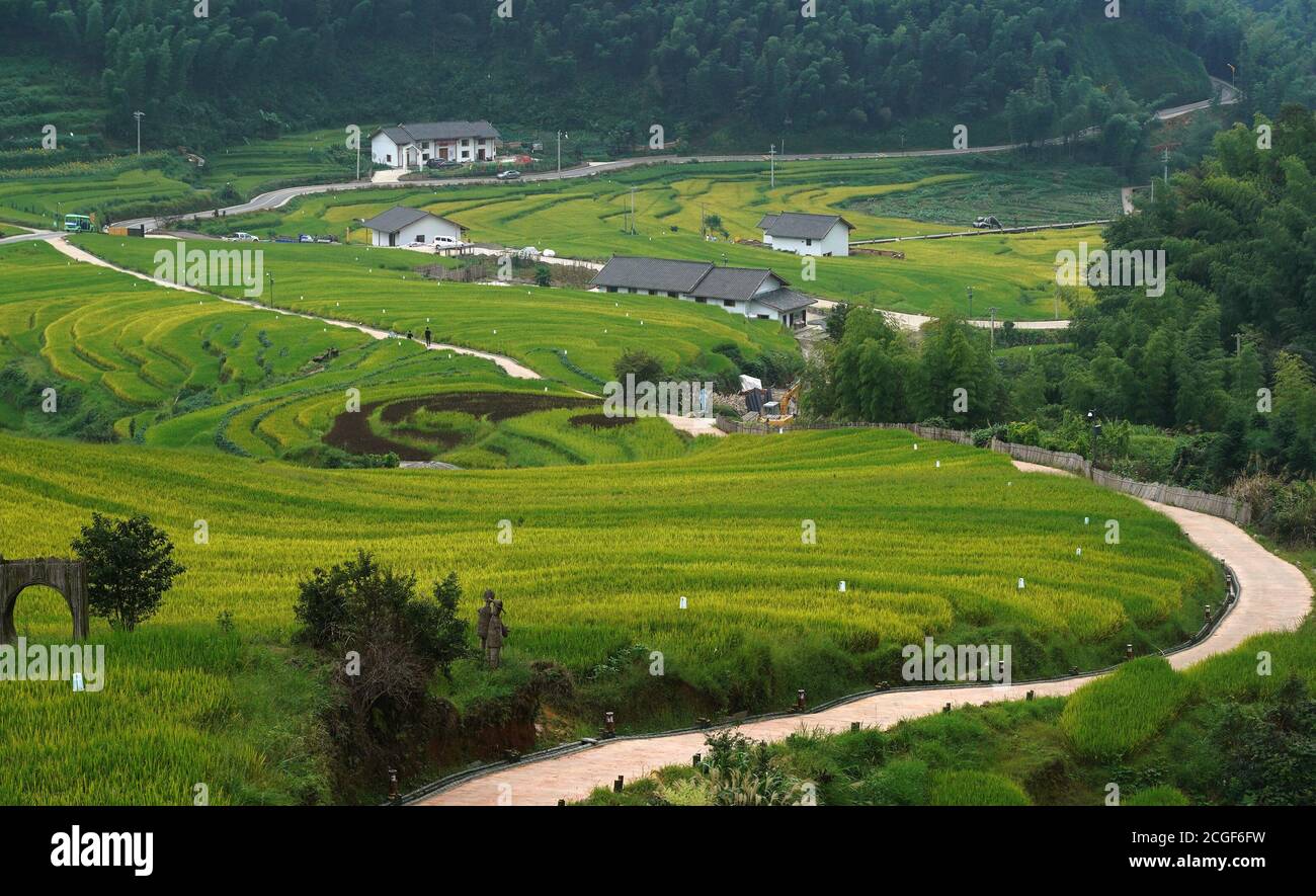 Shangbao hi-res stock photography and images - Alamy