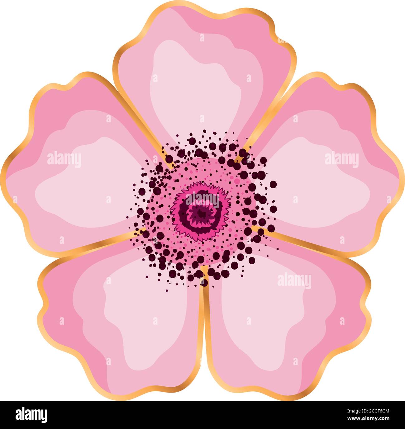 Isolated pink flower vector design Stock Vector Image & Art - Alamy