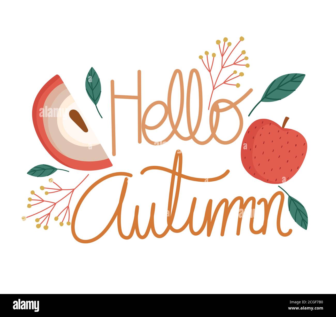 hello autumn leaf and fruits with the greeting white background vector ...