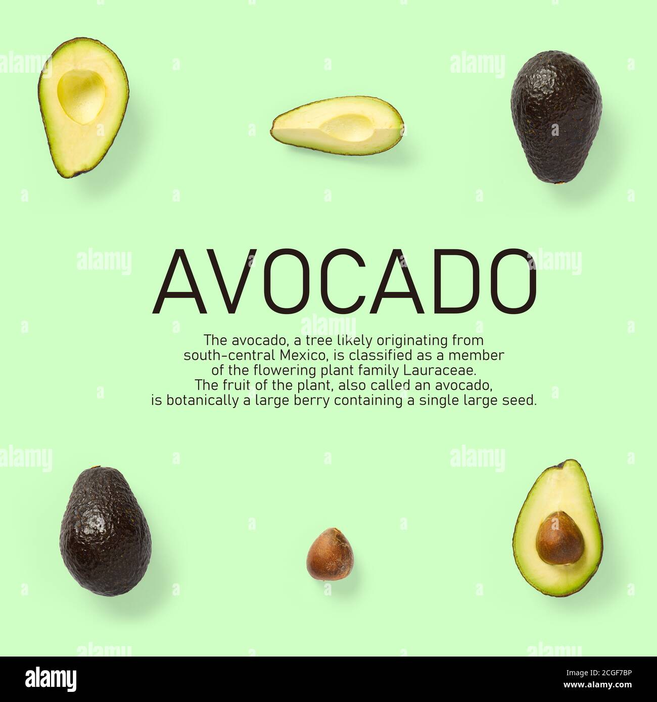 Modern creative avocado collage with simple text on solid color ...