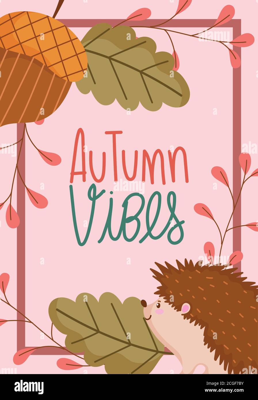 hello autumn natural background hedgehog with acorn and leaves vector ...