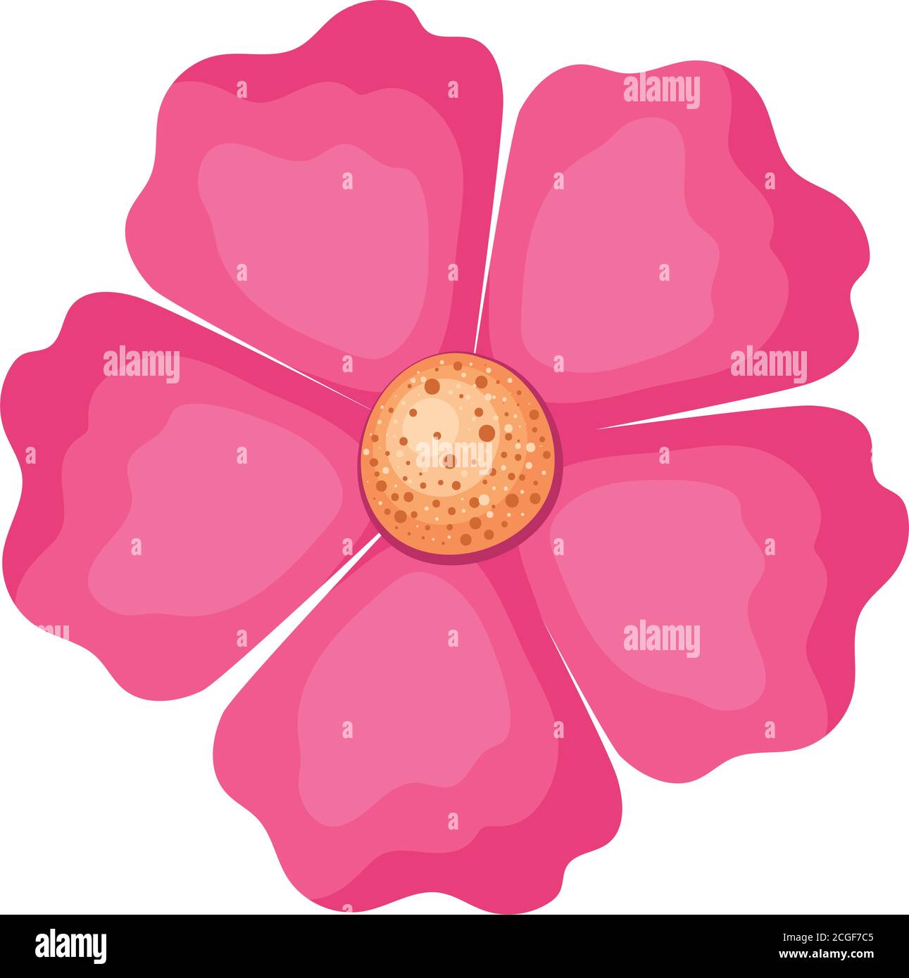 Isolated pink flower vector design Stock Vector Image & Art - Alamy