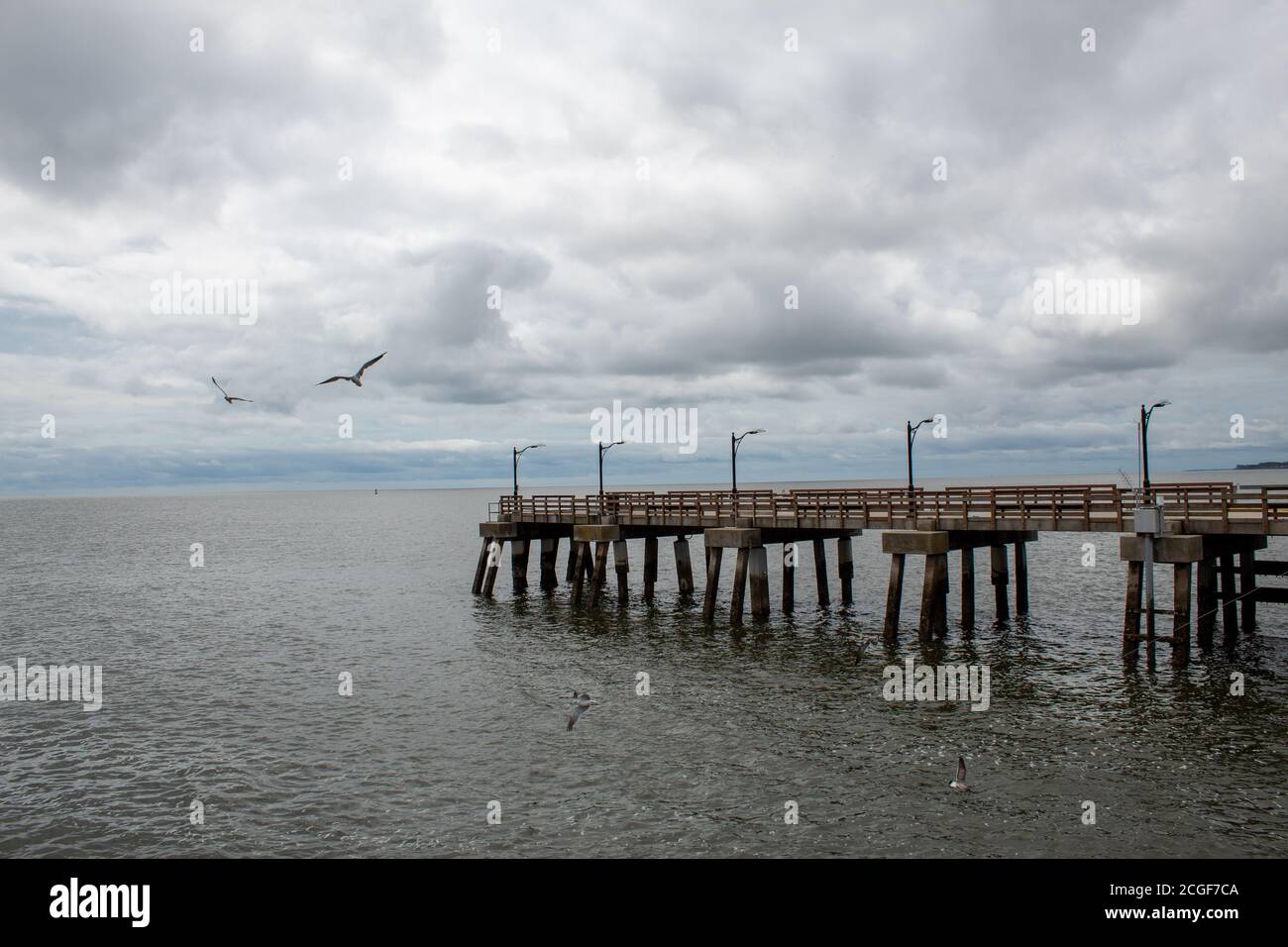 Waves And Seagulls On The Beach On A Cloudy Day High Resolution Stock ...