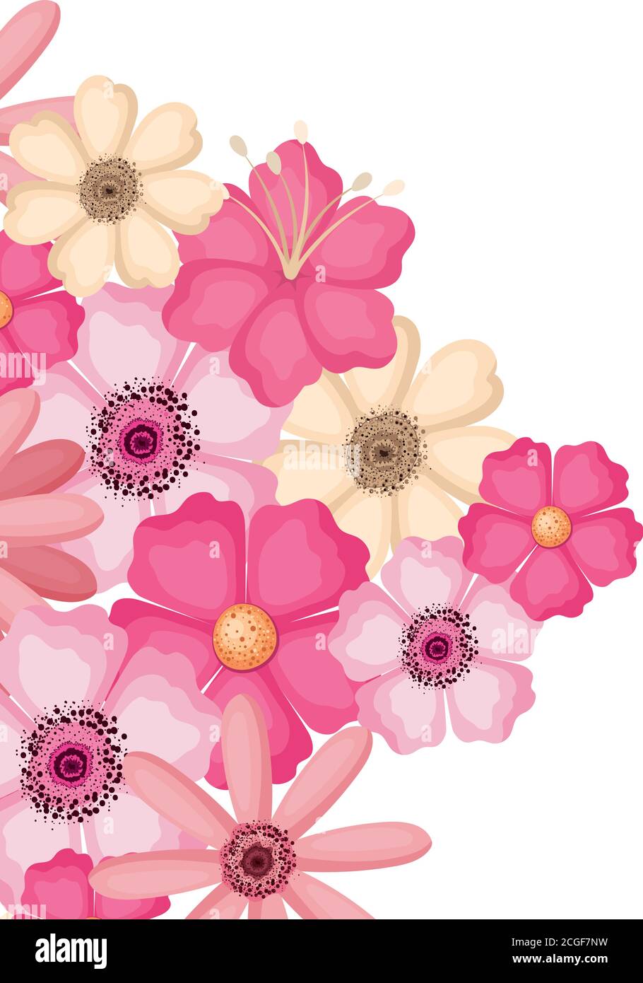 Isolated pink and white flowers vector design Stock Vector Image & Art ...