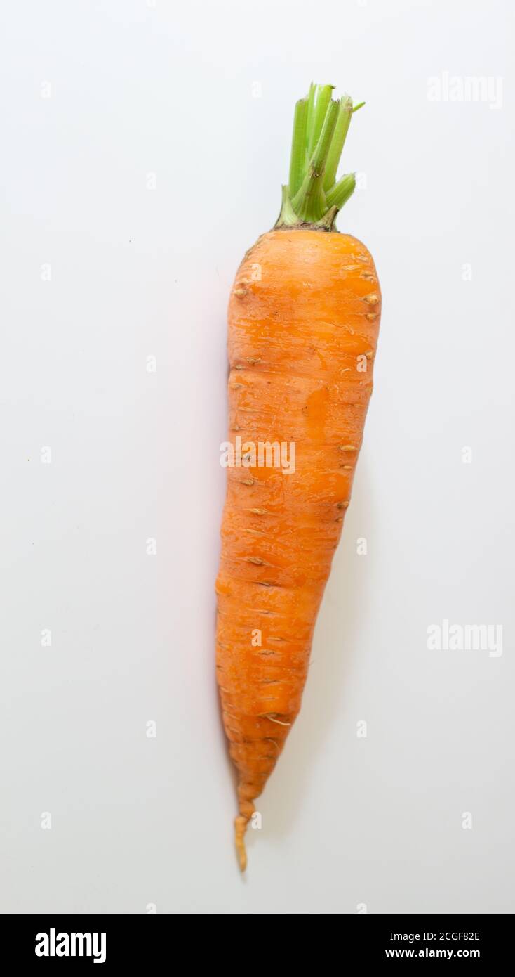 Large, fresh carrot isolated on a white background Stock Photo - Alamy