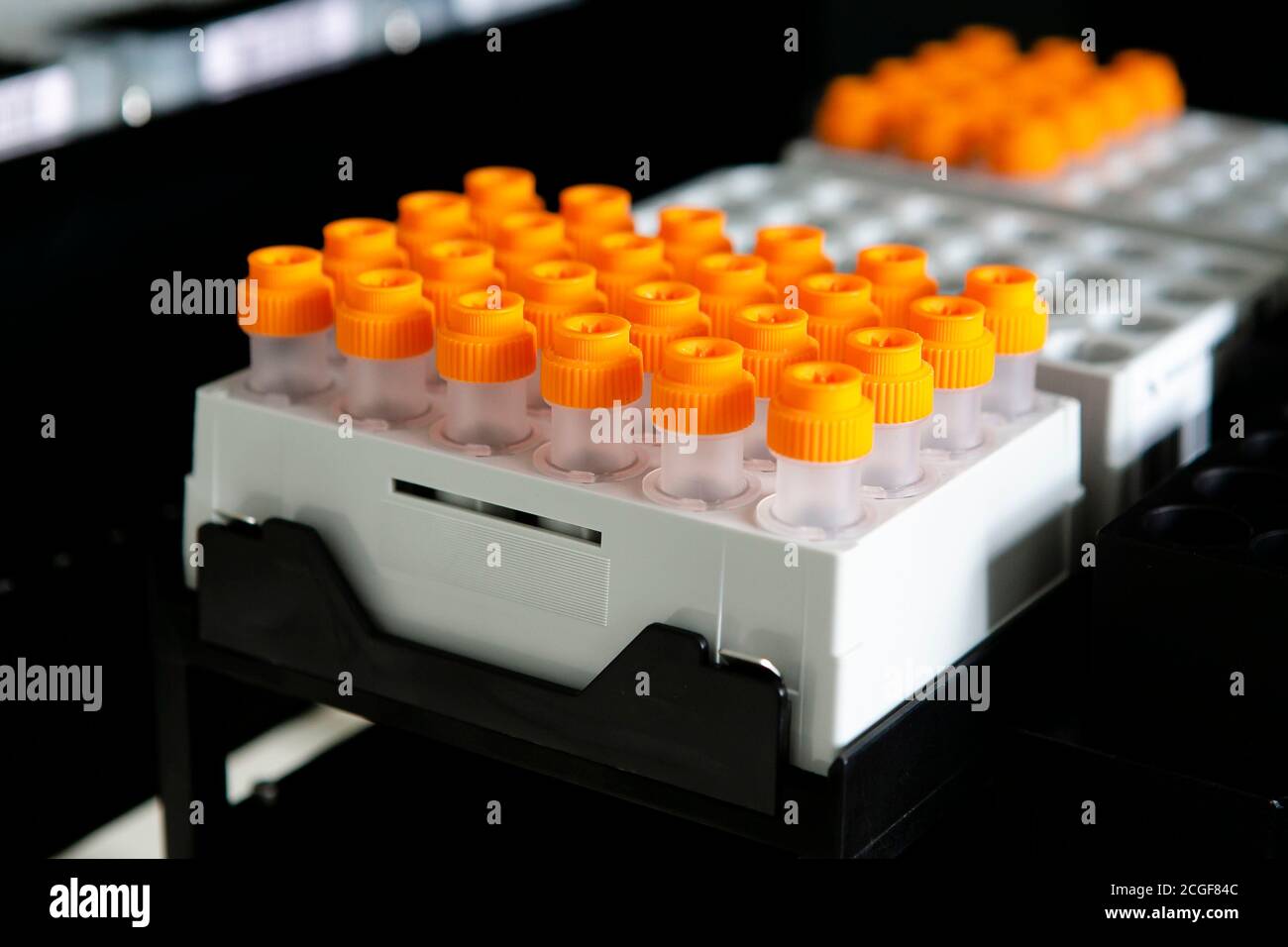 Kiel, Germany. 07th Sep, 2020. DNA sample tubes are in a pipetting ...