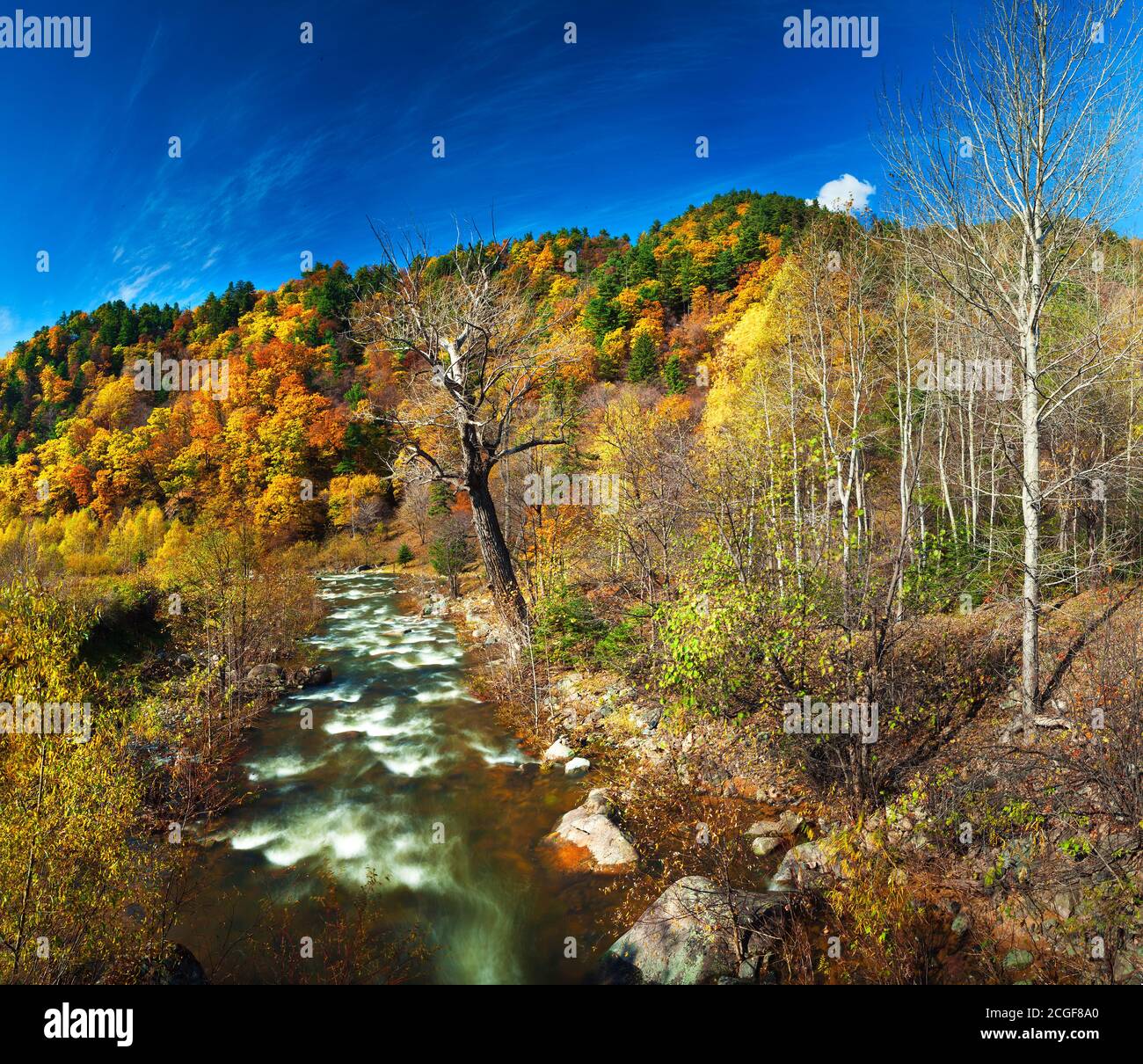 Heilongjiang province yichun lang village scenery Stock Photo - Alamy