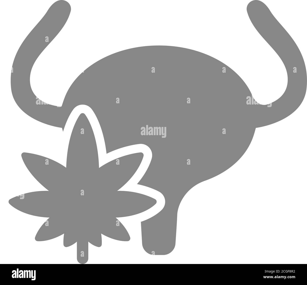 Human urinary bladder with marijuana gray icon. Anesthesia symbol Stock ...