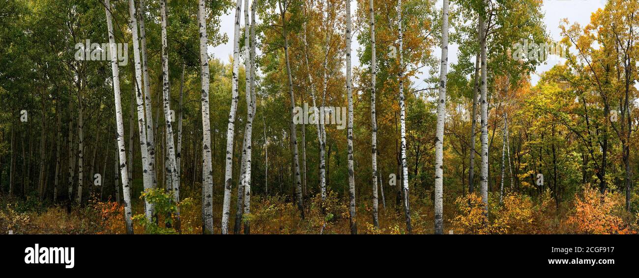 Fuyuan scenery in heilongjiang province Stock Photo - Alamy