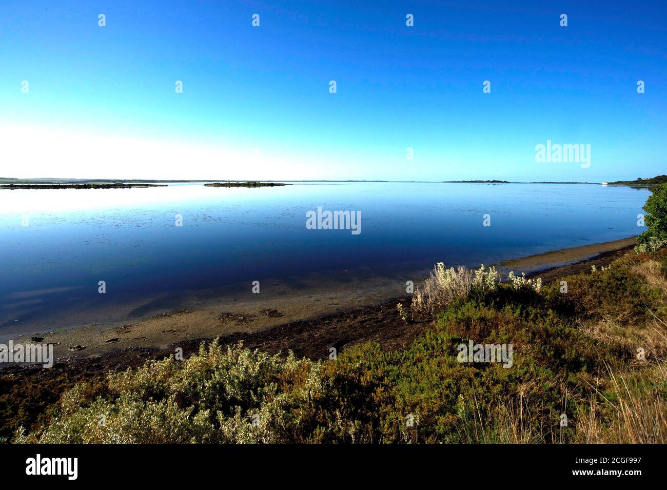 Victoria bay sunny hi-res stock photography and images - Alamy