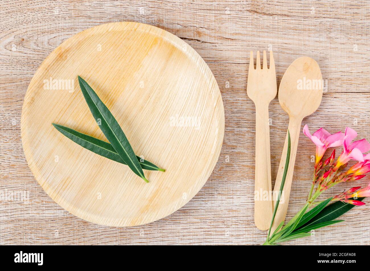 Kitchenware made from dried betel nut leaf palm, natural material. The ...