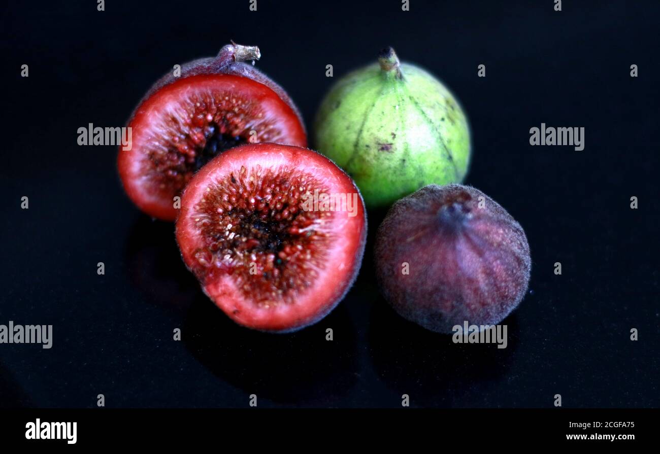 Indian fig tree hi-res stock photography and images - Alamy