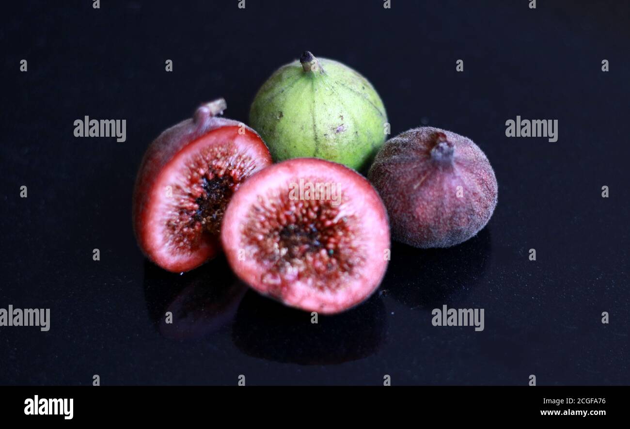 Cluster fig tree or Indian fig tree on black background Stock Photo - Alamy