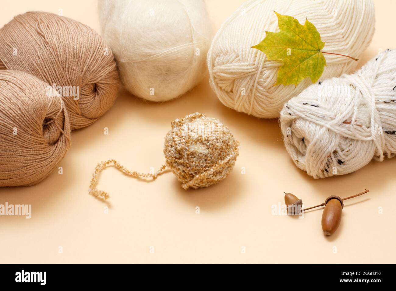 Knitting yarn balls, a dry maple leaf and an acorn on the beige background. Knitting concept ...