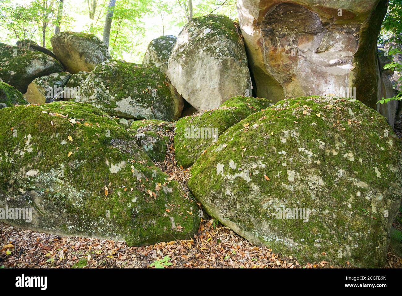 Moss covered ruins hi-res stock photography and images - Alamy