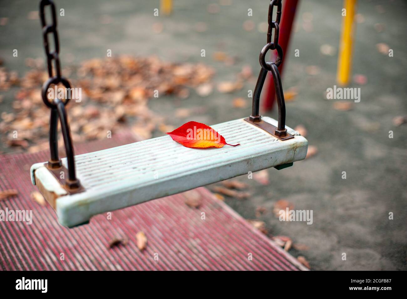 Swing leaf hi-res stock photography and images - Alamy