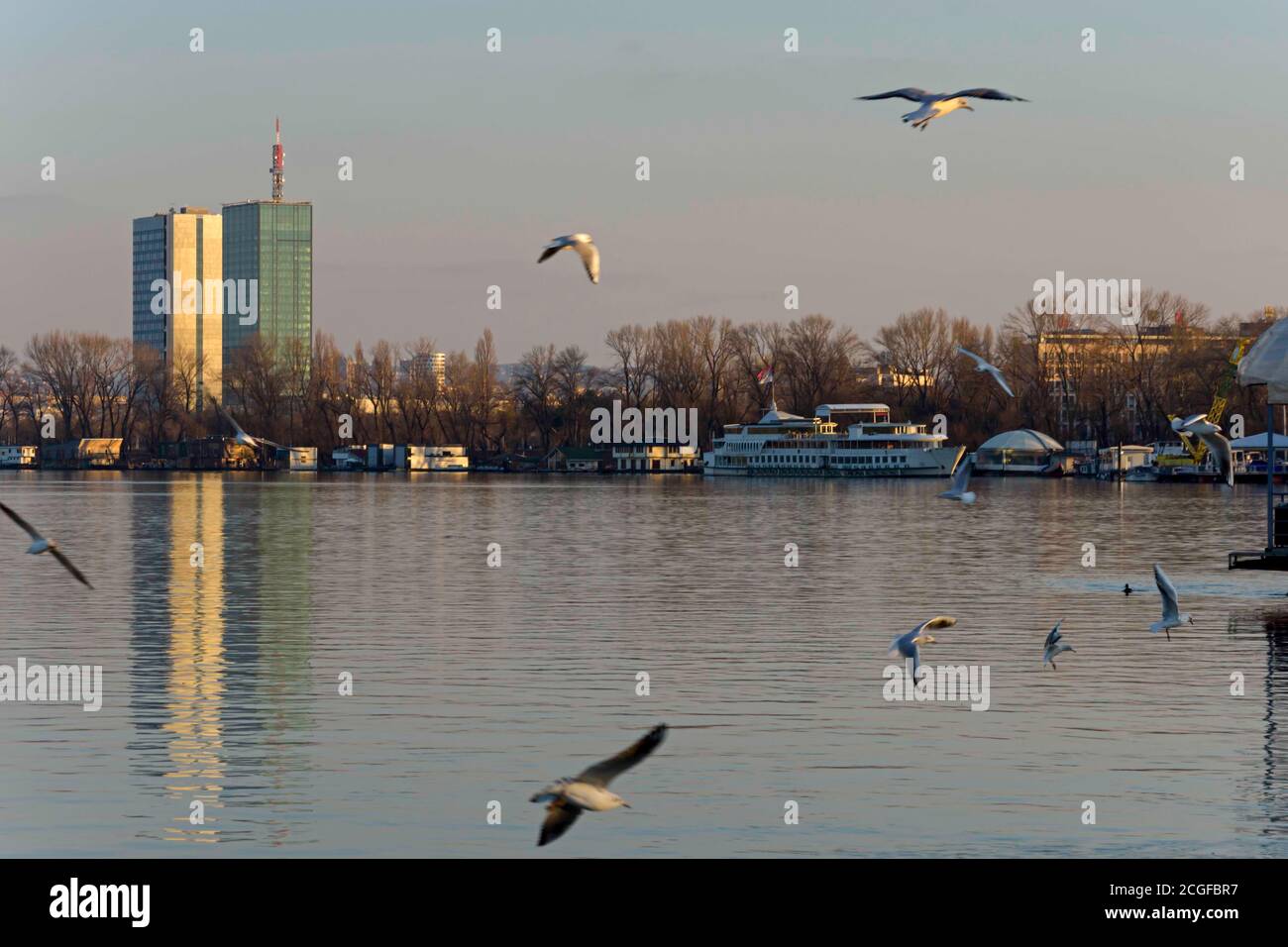 Belgrade view hi-res stock photography and images - Alamy