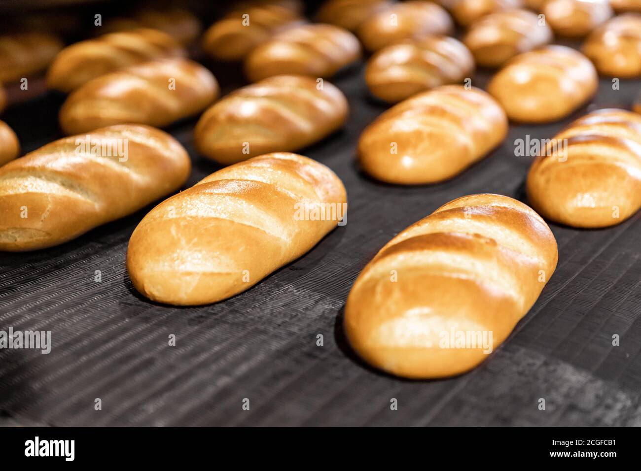 Conveyor from yeast production production hi-res stock photography and ...