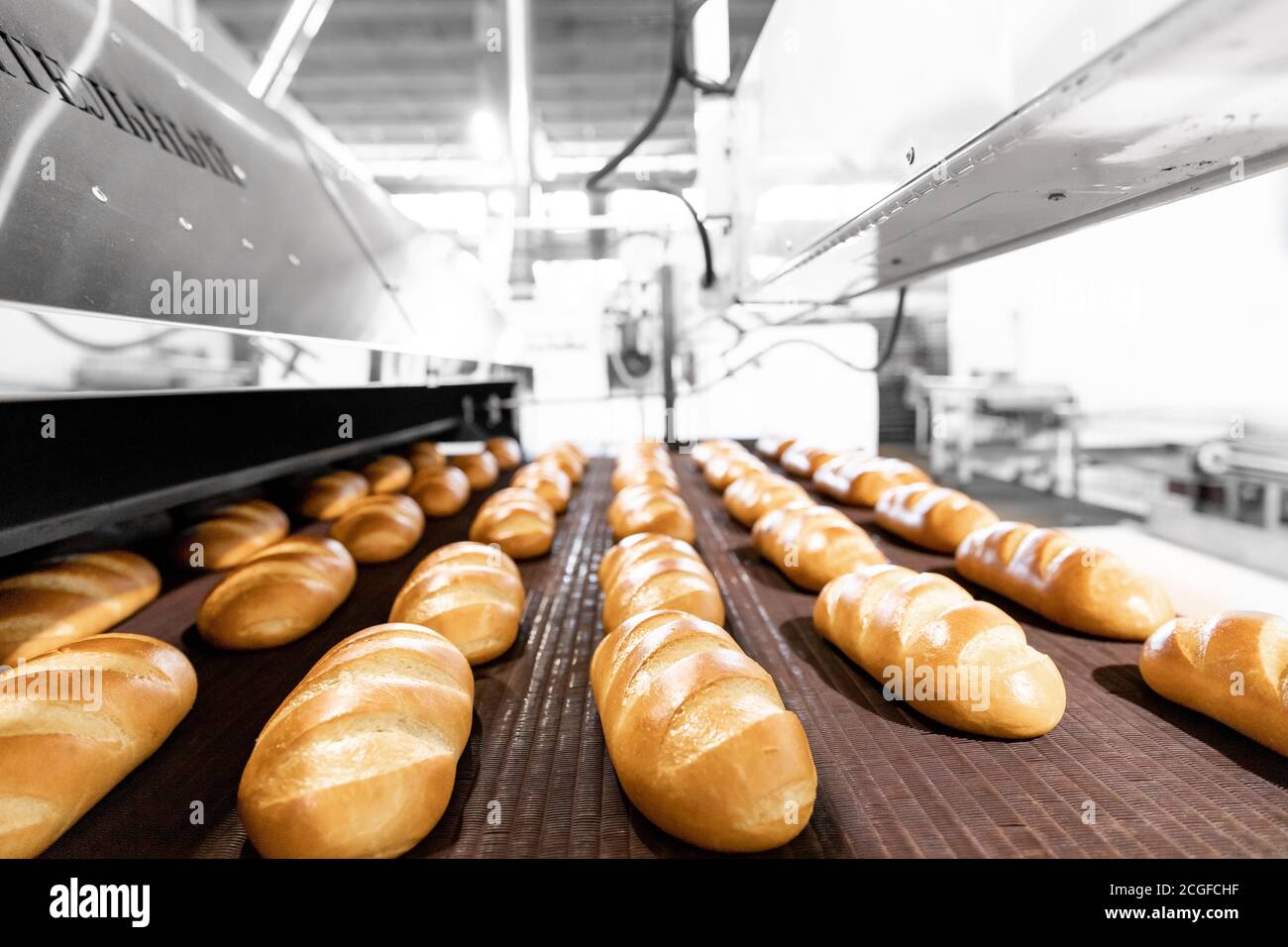 Automated production line bakery Fresh hot baked breads Stock Photo - Alamy