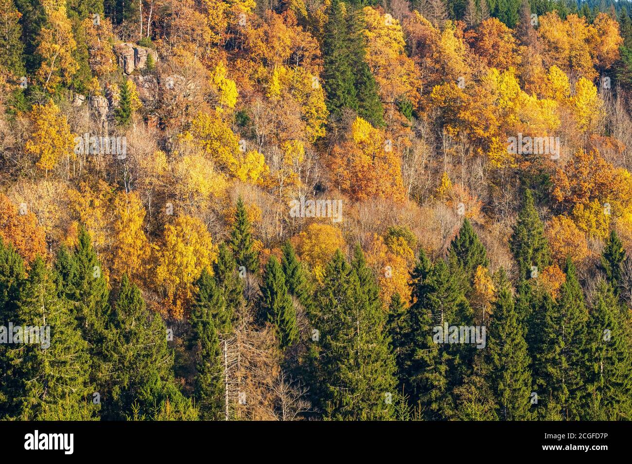 Beautiful rocky mountainside on sunny hi-res stock photography and ...