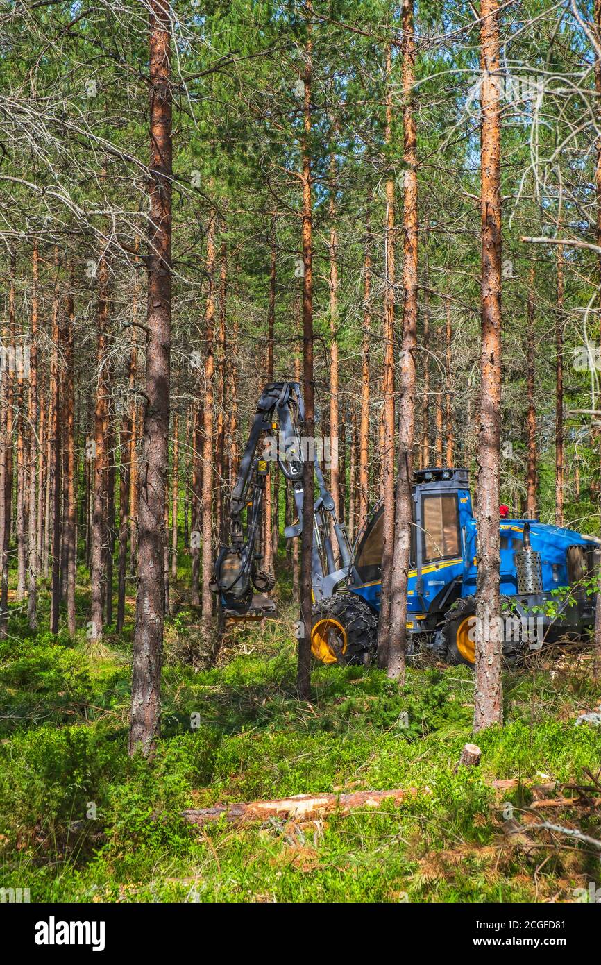 Workplace forest hi-res stock photography and images - Alamy