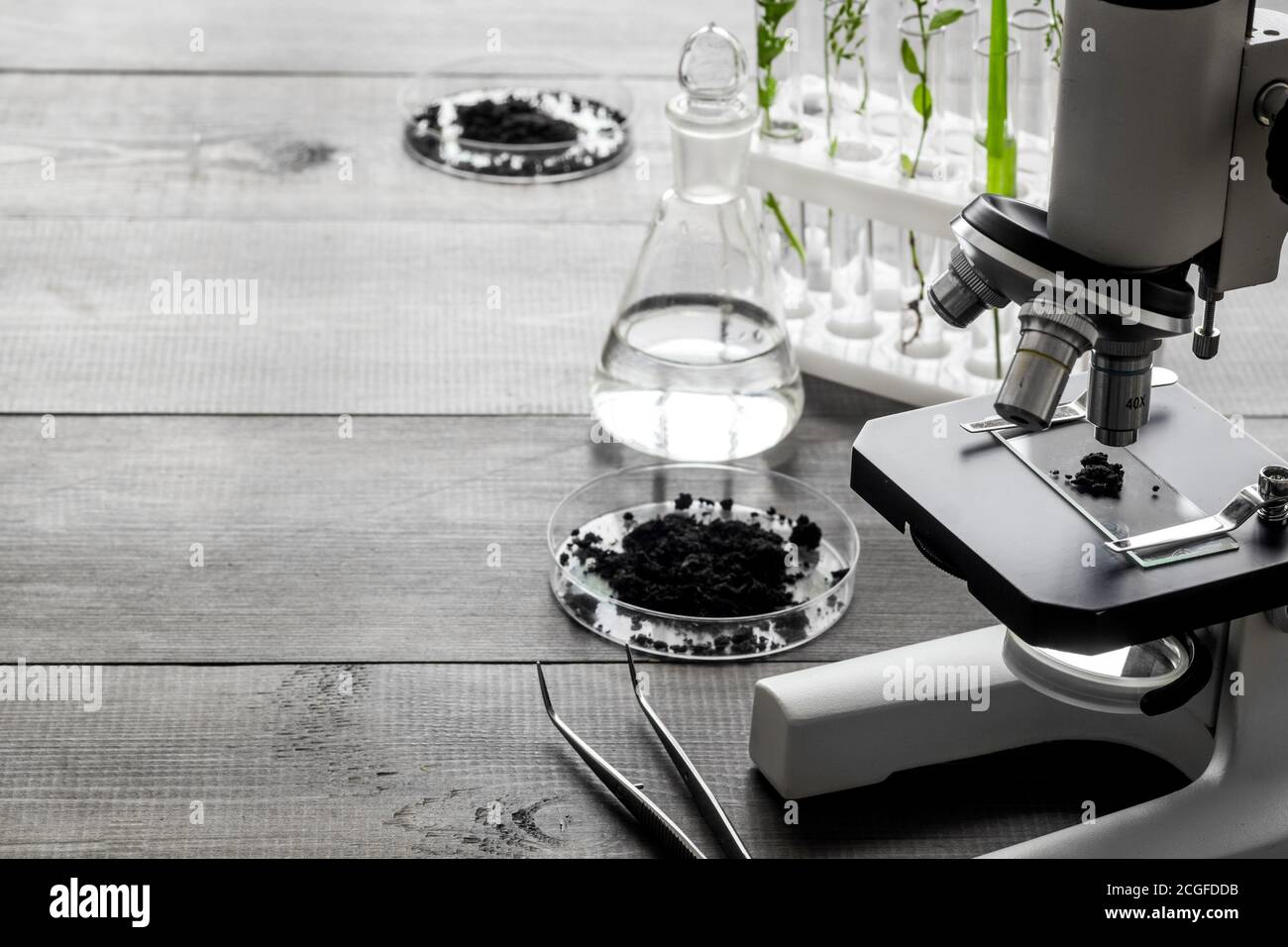 Test floral samples with microscope in biological lab Stock Photo - Alamy