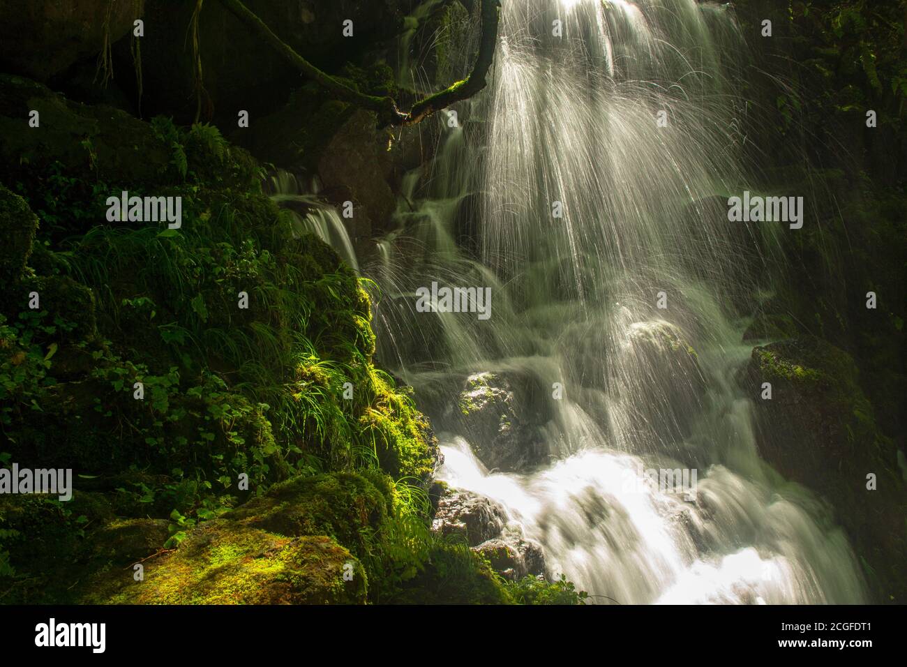 Kikuchi Gorge in Early Summer, Kumamoto Prefecture, Japan Stock Photo ...