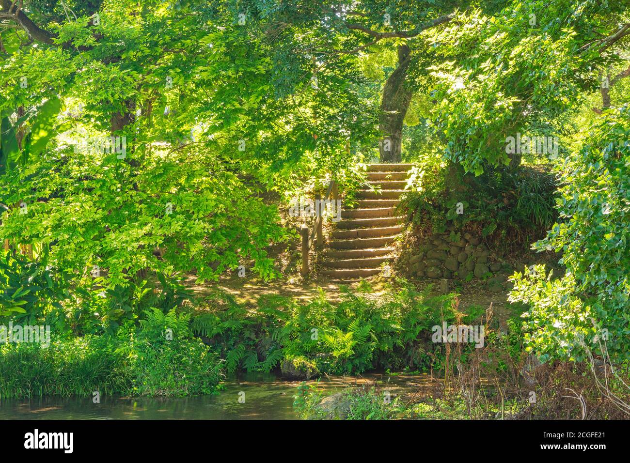 Suizenji Ezuko Park in Early Summer, Kumamoto Prefecture, Japan Stock ...