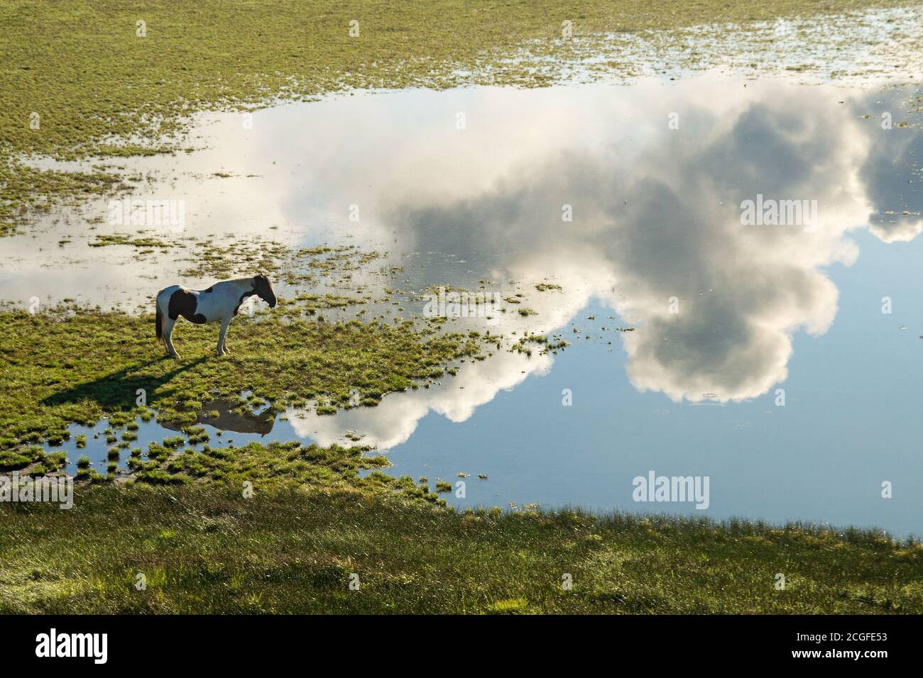 Aso Kusasenri Beach Stock Photo - Alamy