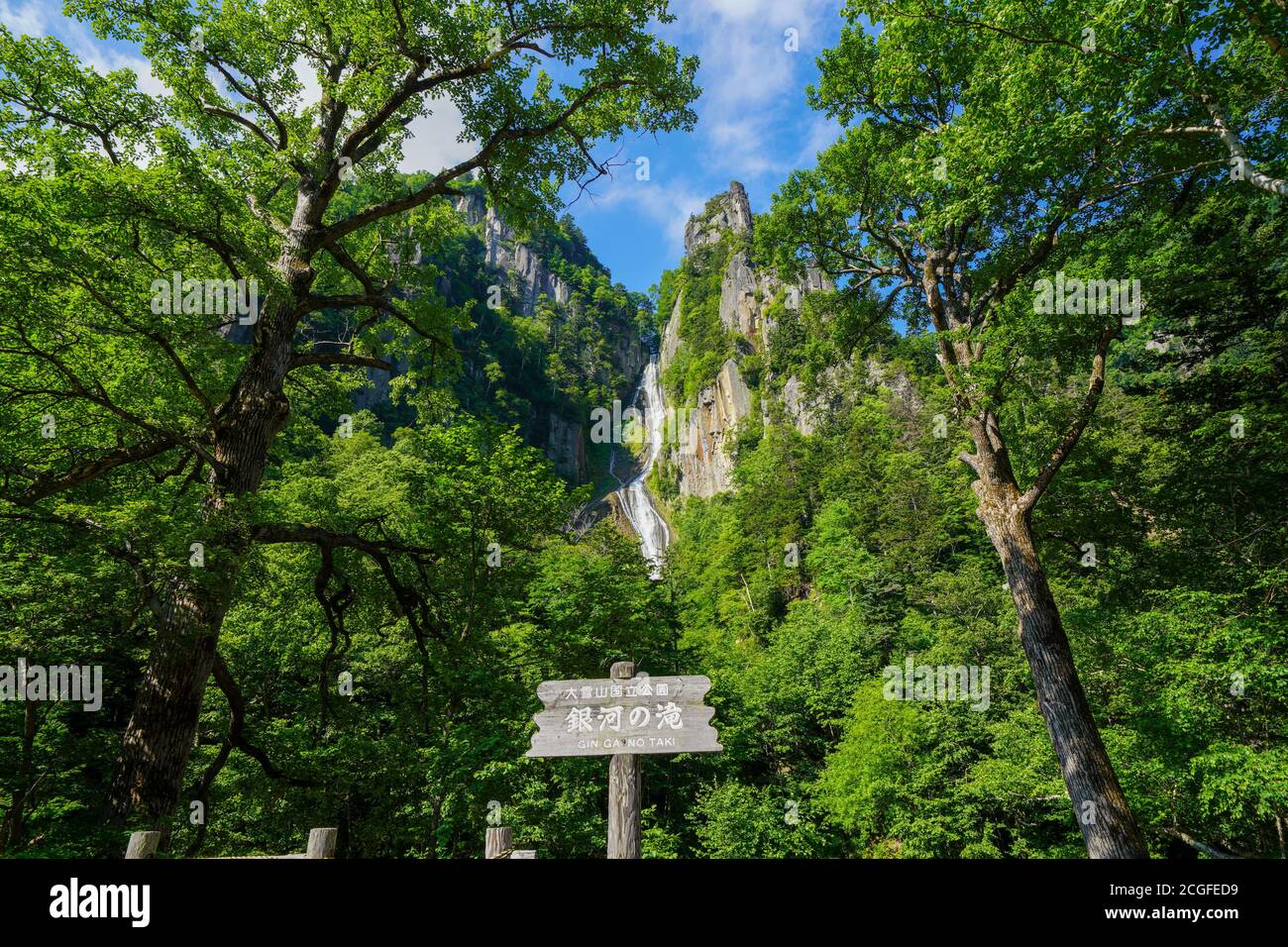 Ginga hi-res stock photography and images - Alamy