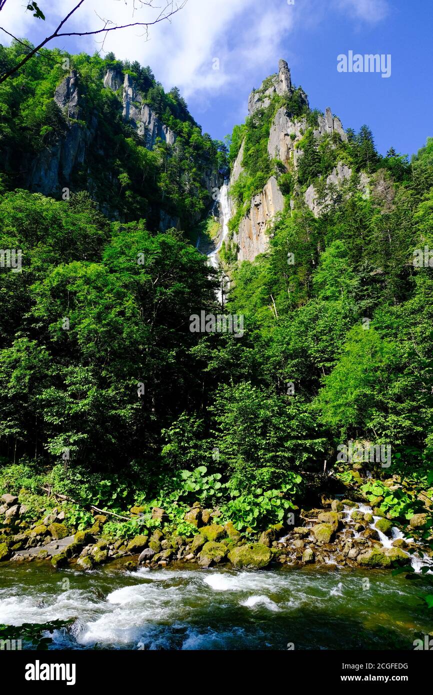 Ginga hi-res stock photography and images - Alamy