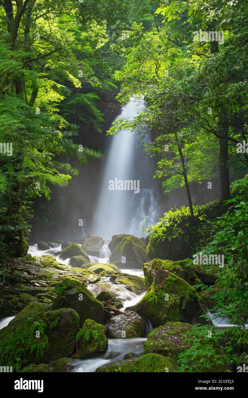 Waterfall city japan hi-res stock photography and images - Alamy