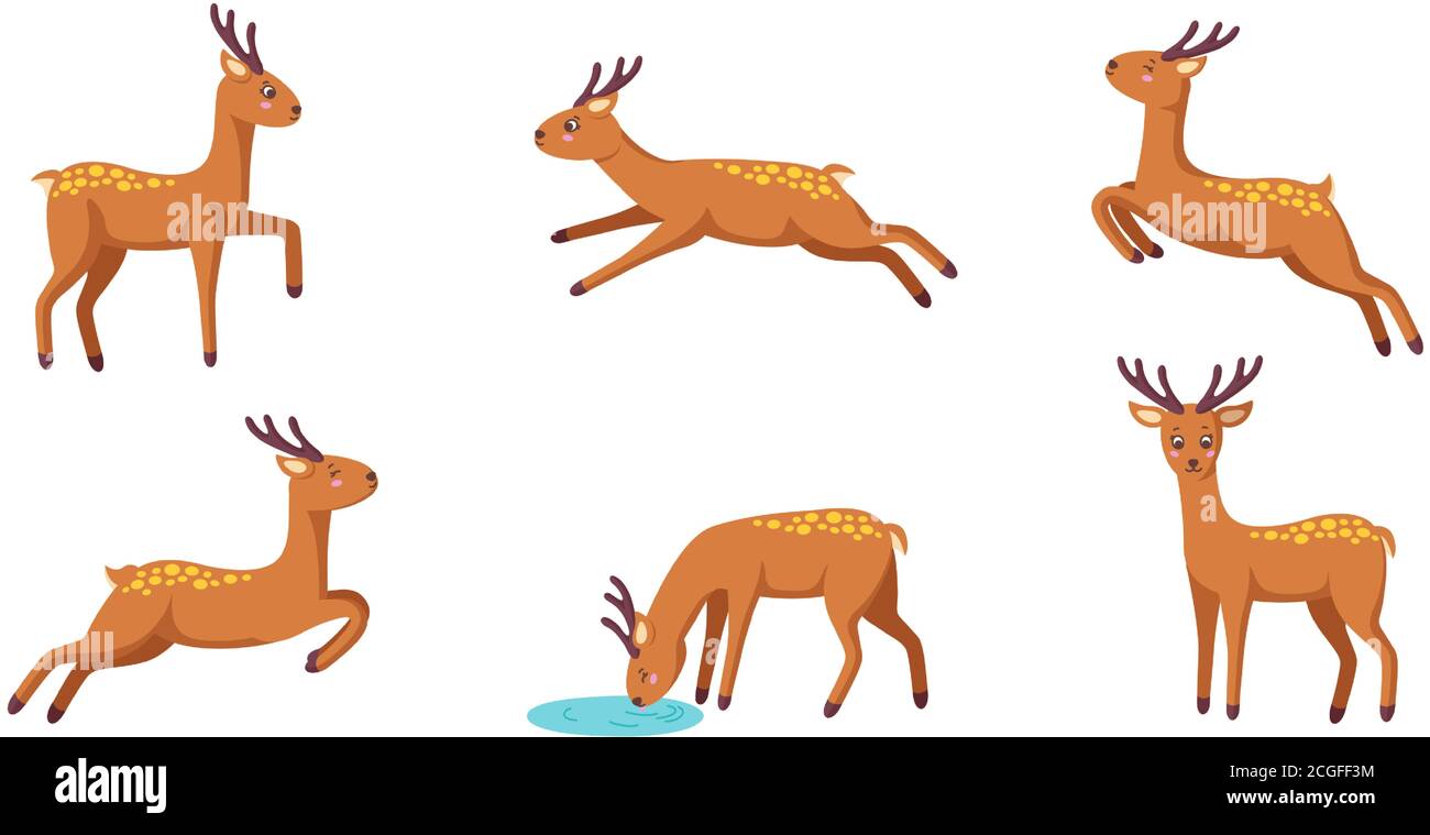 Drinking Reindeer