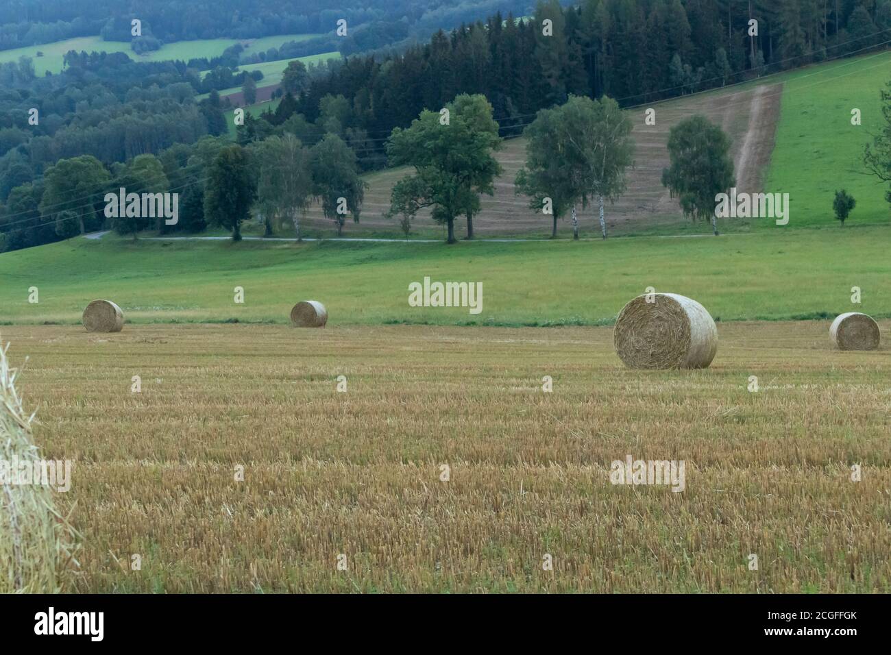 Manger roll hi-res stock photography and images - Alamy
