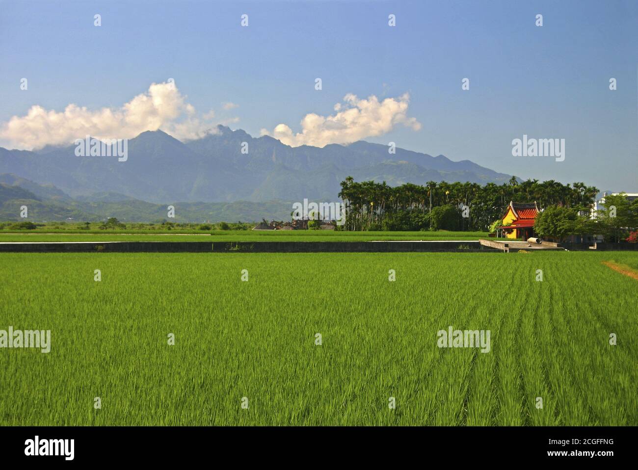 Taiwan Hualien Yuli Rice Garden Stock Photo - Alamy